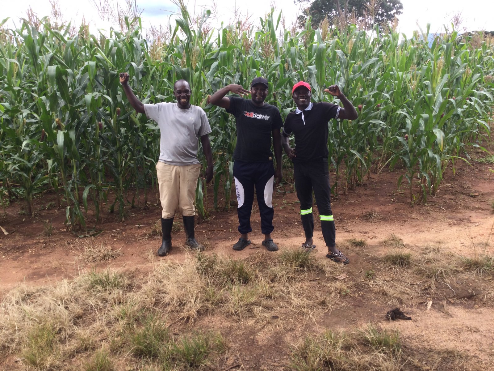Kids and pigs, pigs and kids - TARIRO UK, HOPE FOR YOUTH IN ZIMBABWE